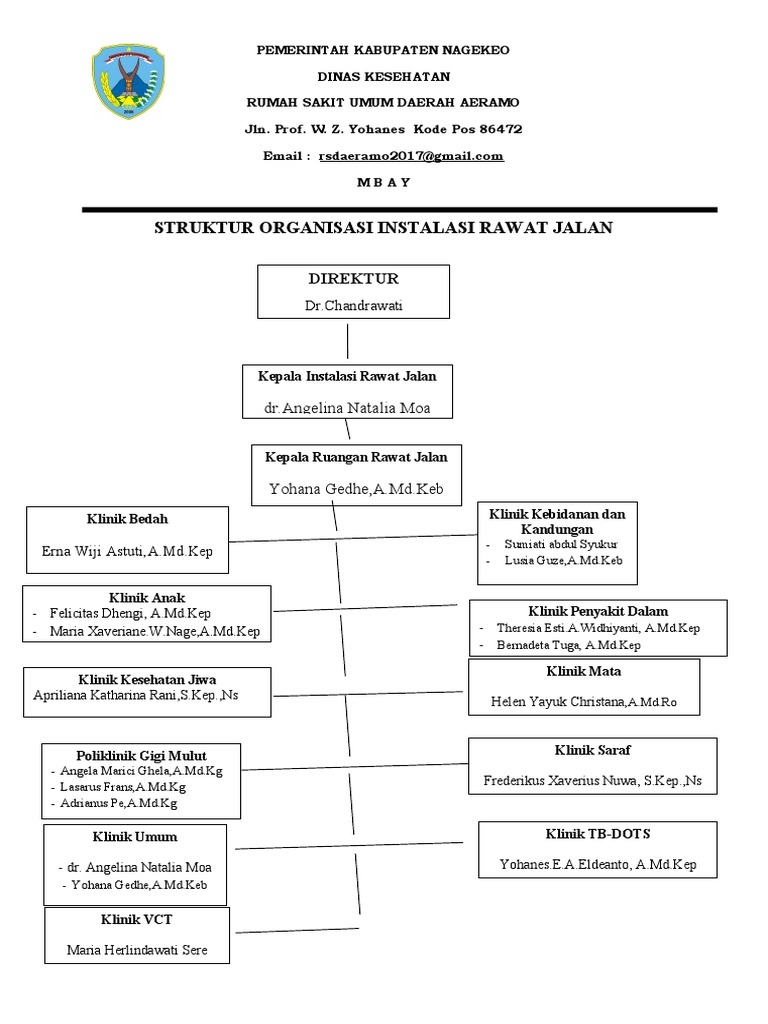 Struktur Organisasi Instalasi Rawat Jalan | PDF