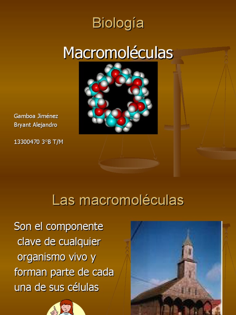 Macromoleculas | PDF | Proteínas | Carbohidratos