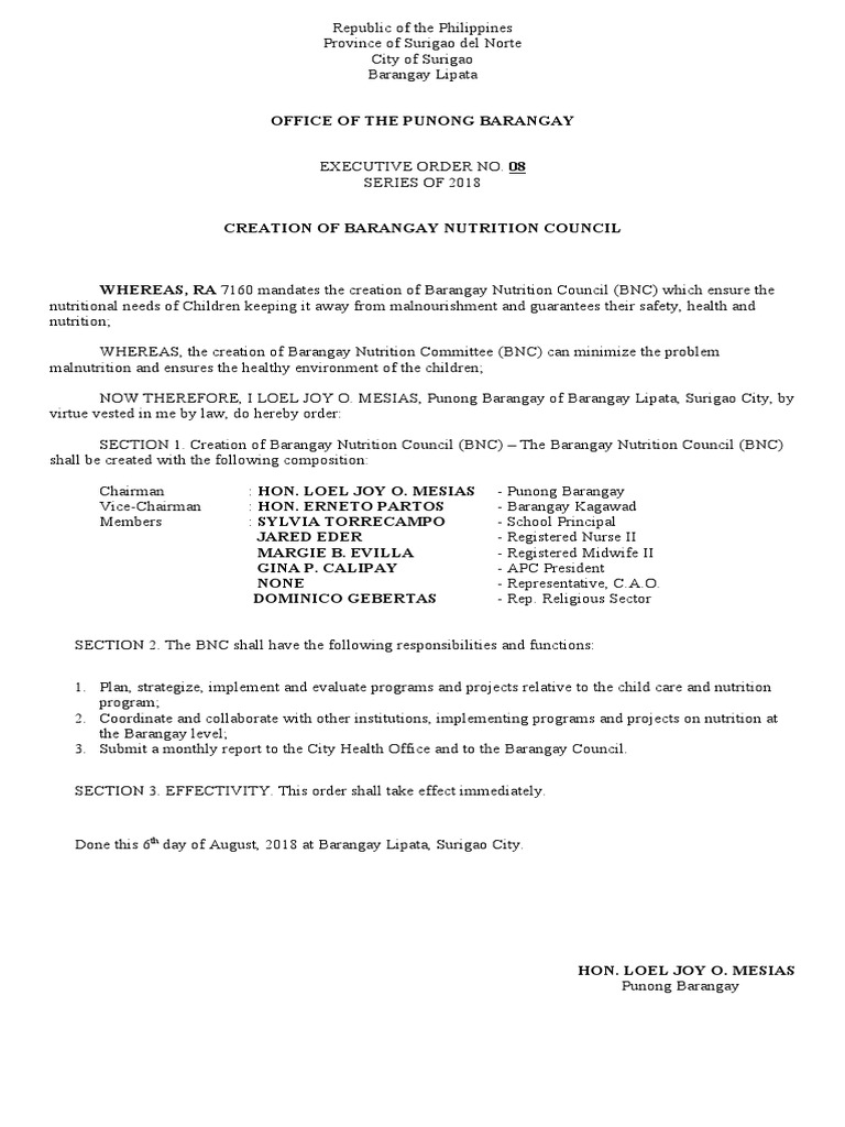 Executive Order 08 - BNC | PDF | Health Care