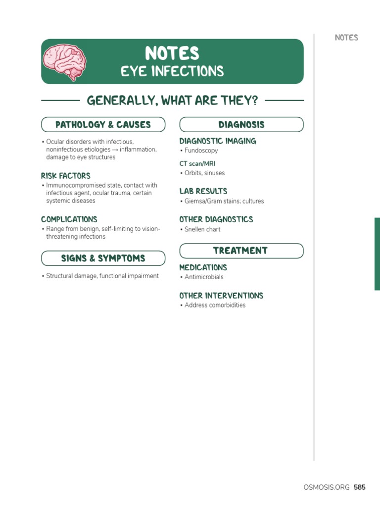 Eye Infections | PDF | Cornea | Diseases And Disorders