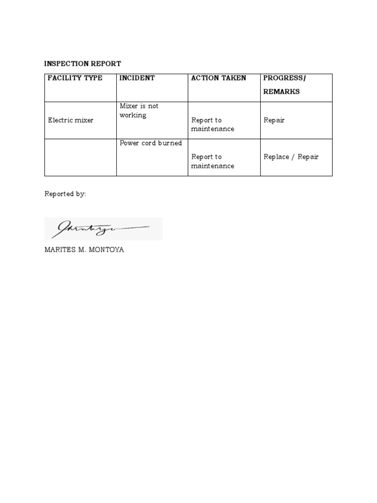 Inspection Report | PDF