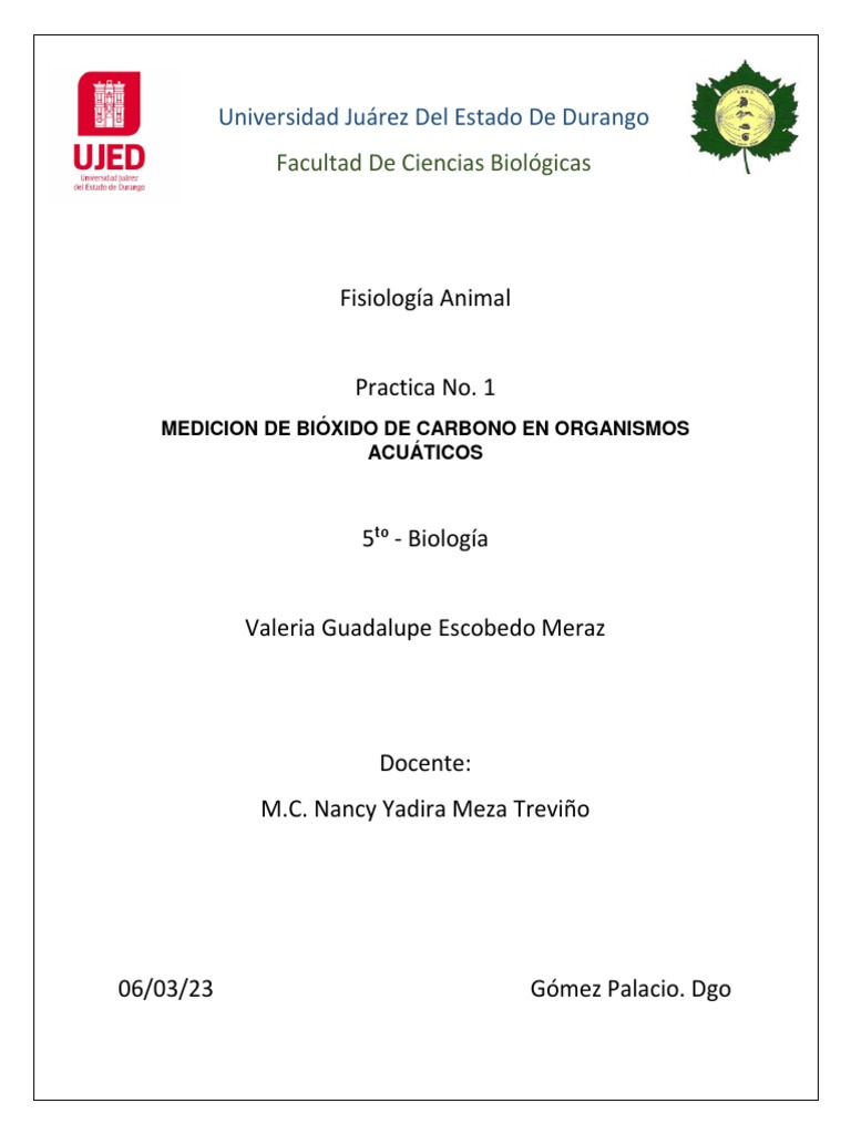 Práctica 1. FA-Valeria Escobedo | PDF