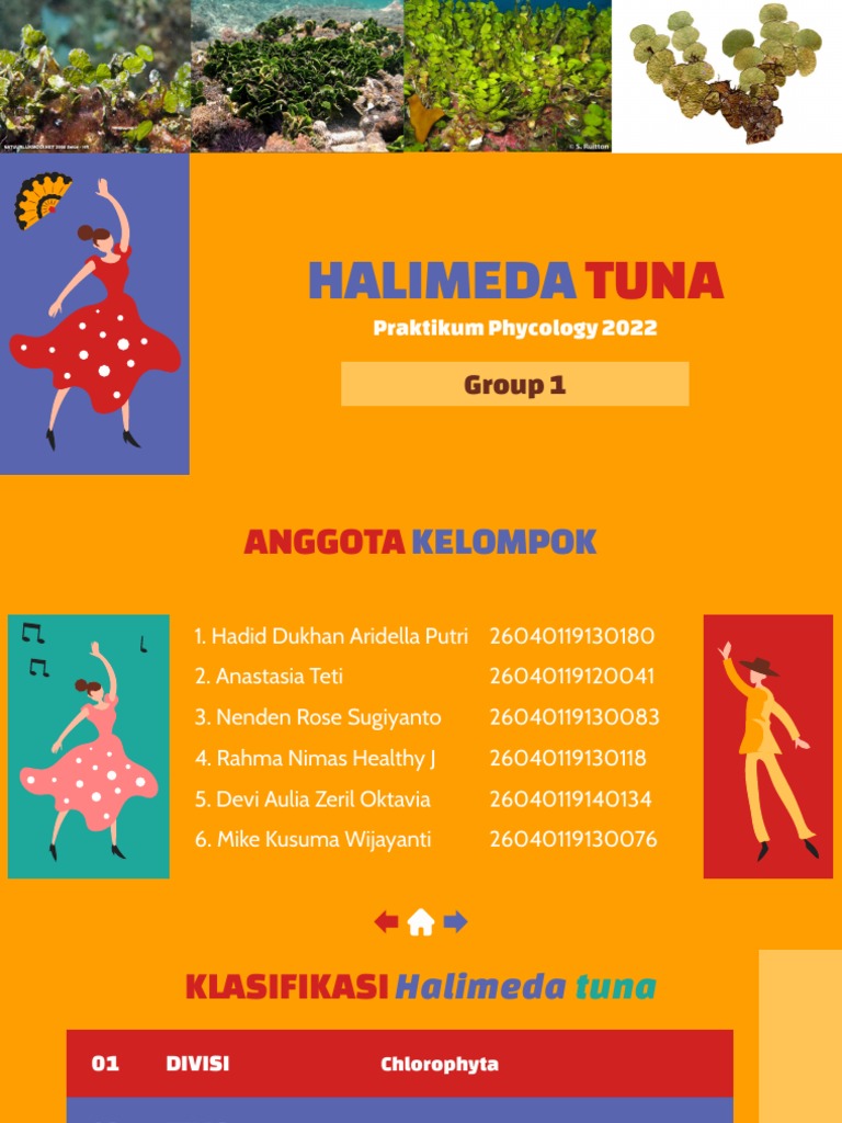 Karakteristik dan Fungsi Halimeda Tuna | PDF | Sains & Matematika
