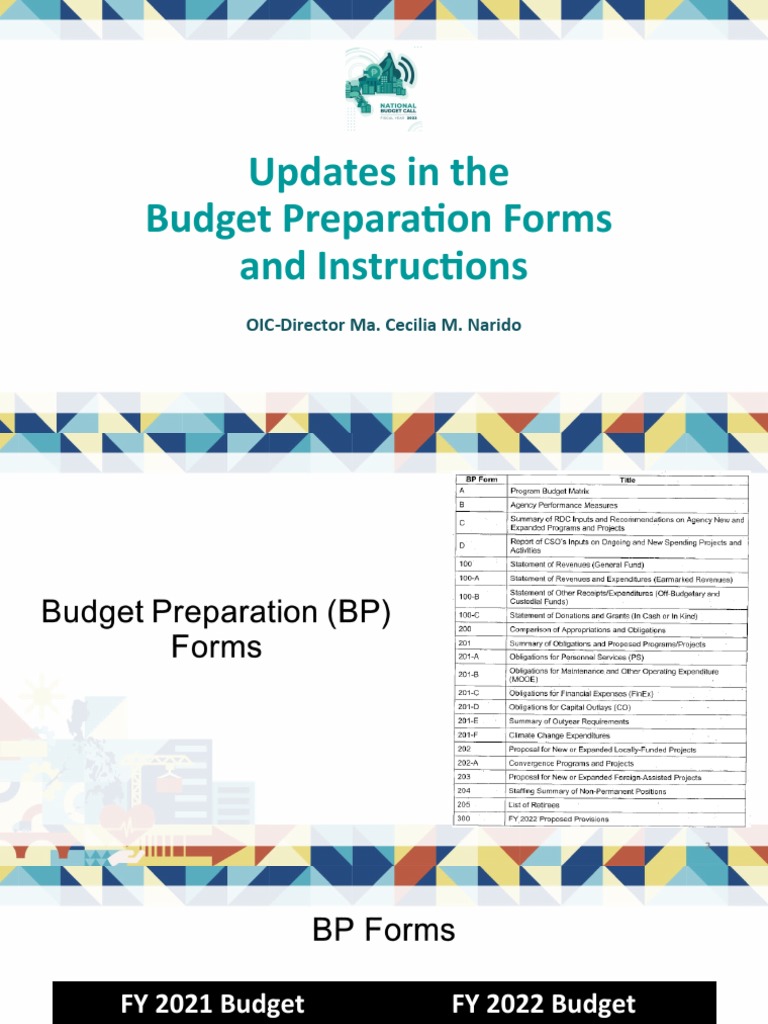 Updated BP Forms and Instructions | PDF | Government | Economies