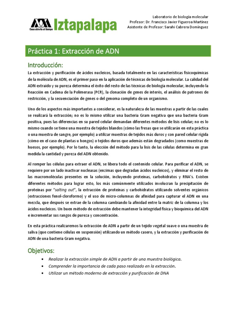 Practica 2 Aislamiento de ADN | PDF | Adn | Biología Celular)
