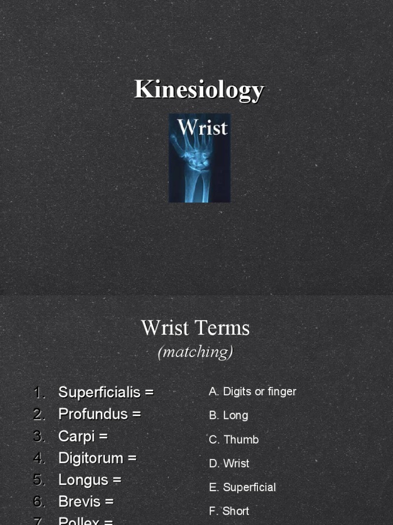 Kinesiology Wrist and Hand | PDF | Anatomical Terms Of Motion | Thumb