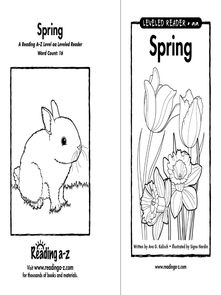 Raz Laa19 Spring | PDF