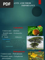 Herbarium Format Project | PDF | Botany | Plants