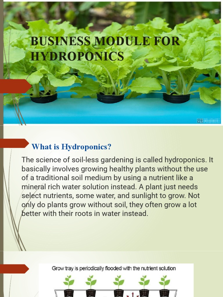 HYDROPONICS | Download Free PDF | Plant Nutrition | Hydroponics