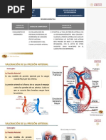 En Qué Consiste El MAPA y AMPA | PDF | Hipertensión | Presión sanguínea