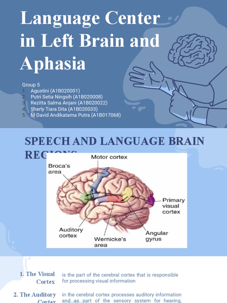 Language Centre in Left Brain and Aphasia | PDF | Aphasia ...