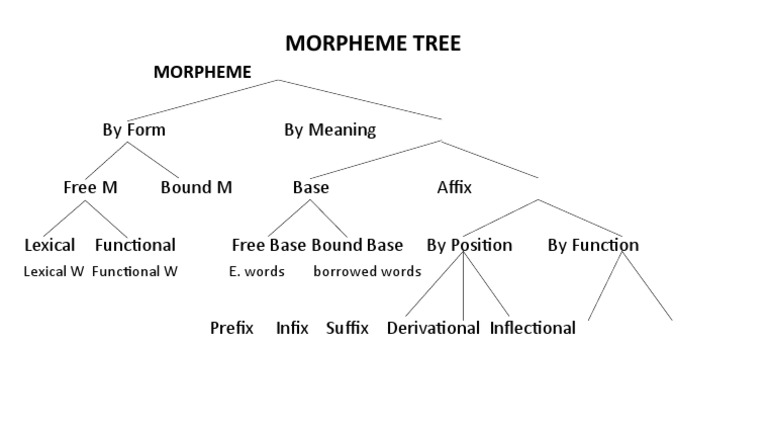 Morpheme Tree | PDF
