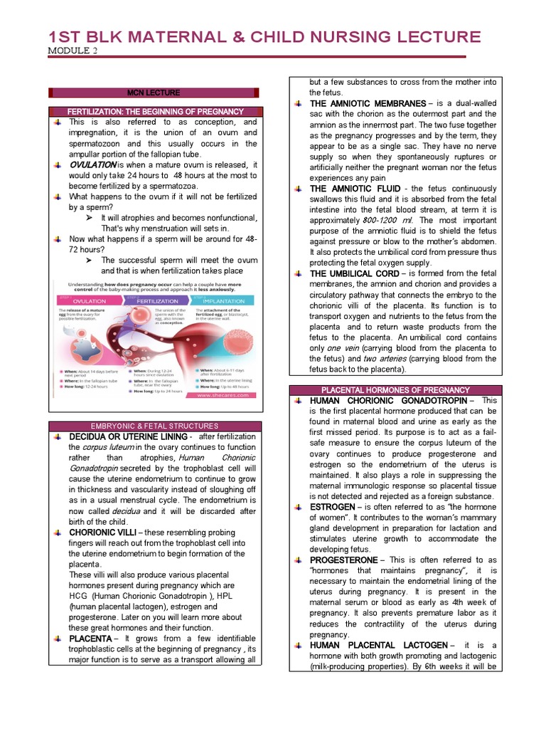 MCN Lecture | PDF | Placenta | Pregnancy