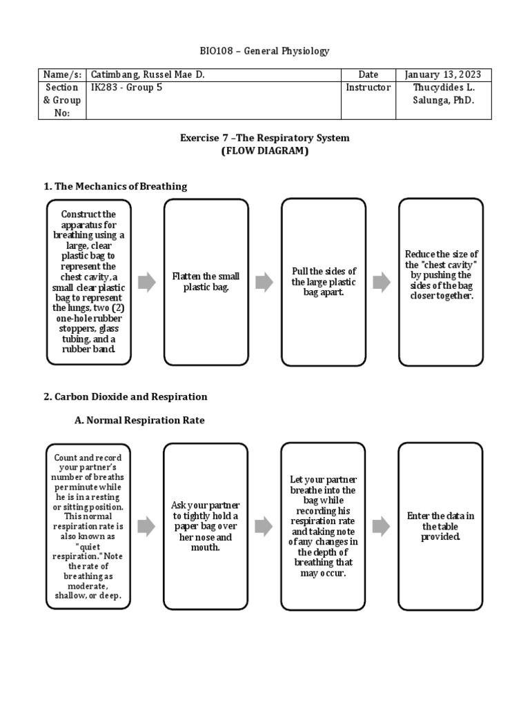 Experiment 7 - FLOW | PDF | Breathing | Respiratory System