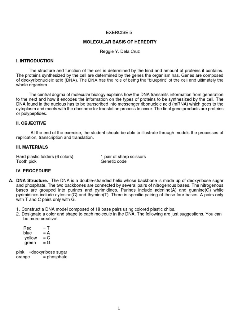 Exercise 5 Molecular Basis of Heredity | PDF | Dna | Rna