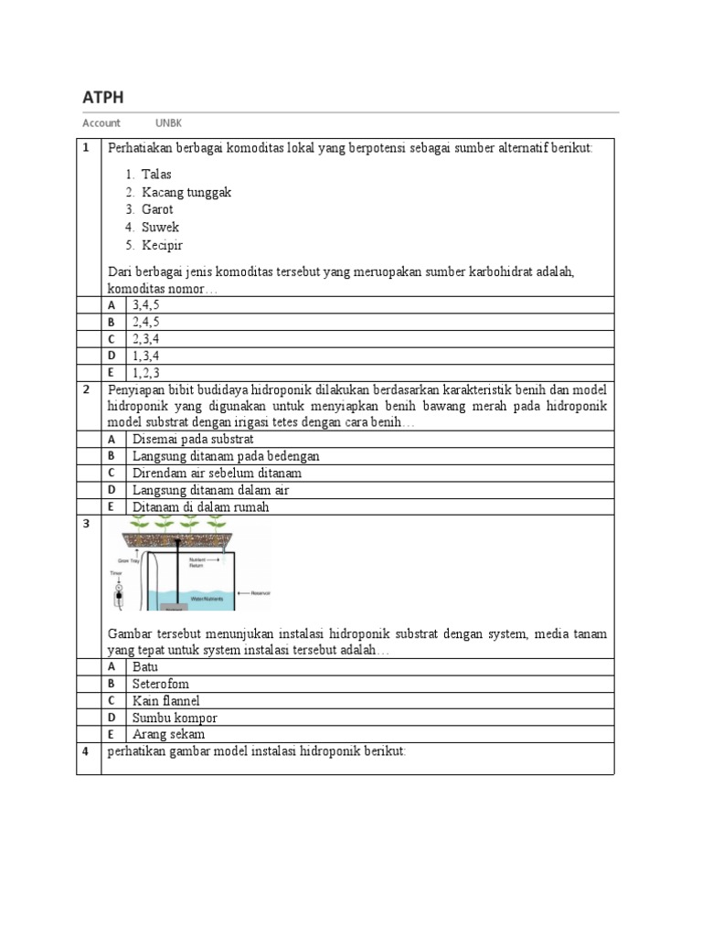 Template Soal - ATPH | PDF