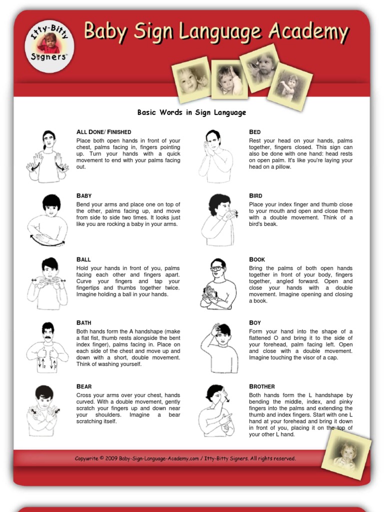 Basic Sign Language Words Guide | PDF | Finger | Hand