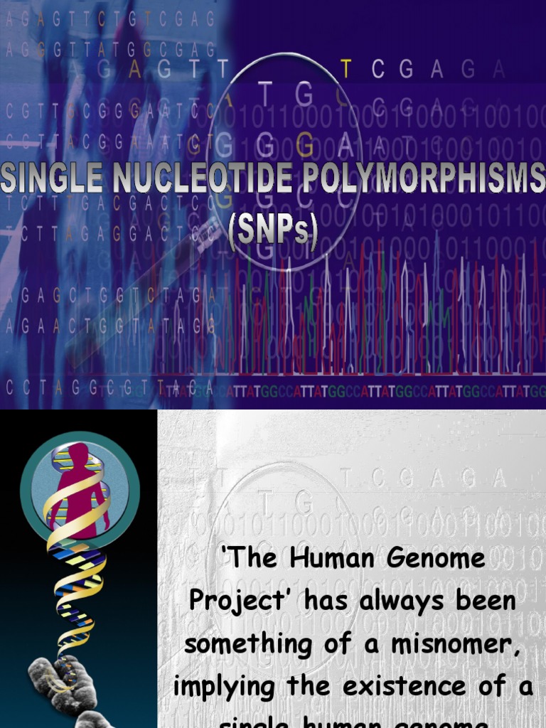 SNPs 2 | PDF | Single Nucleotide Polymorphism | Genetic Linkage