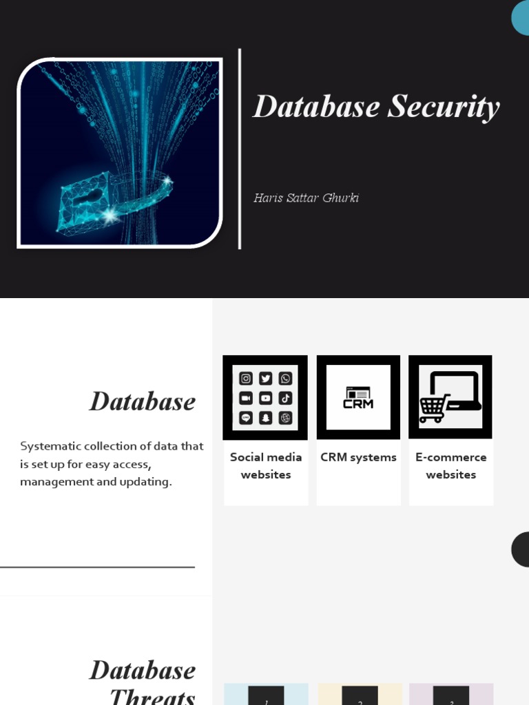 Database Security by Haris | PDF | Databases | Password