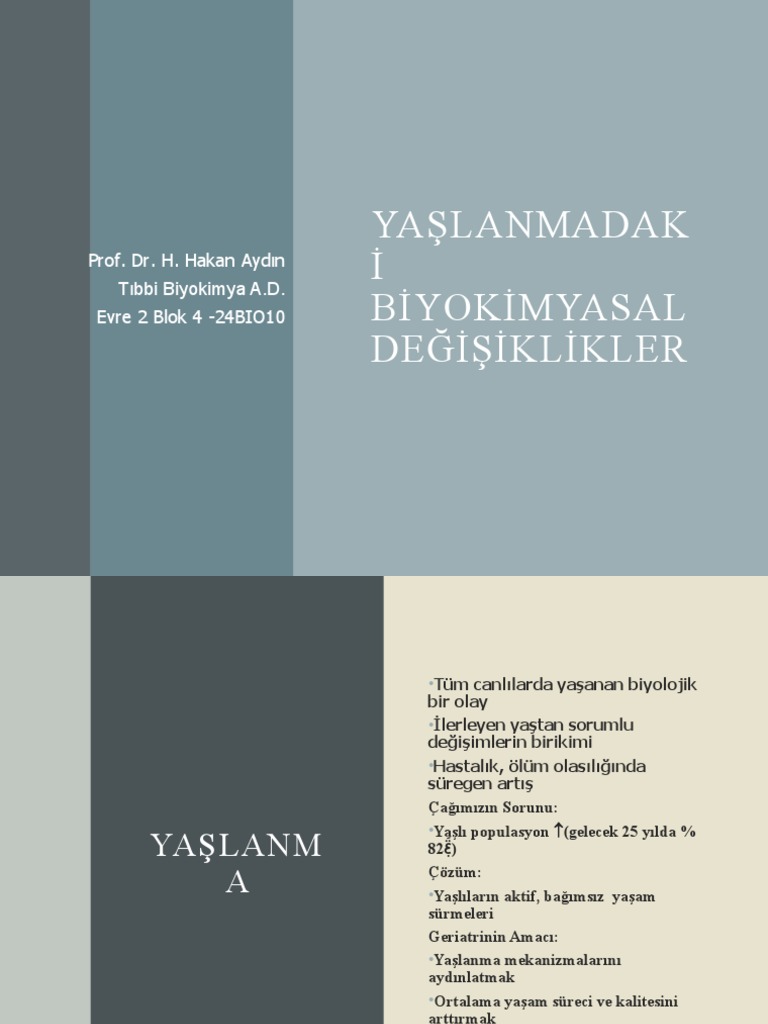 24BIO10-Yaslanmadaki Biyokimyasal Degisiklikler H H Aydin | PDF