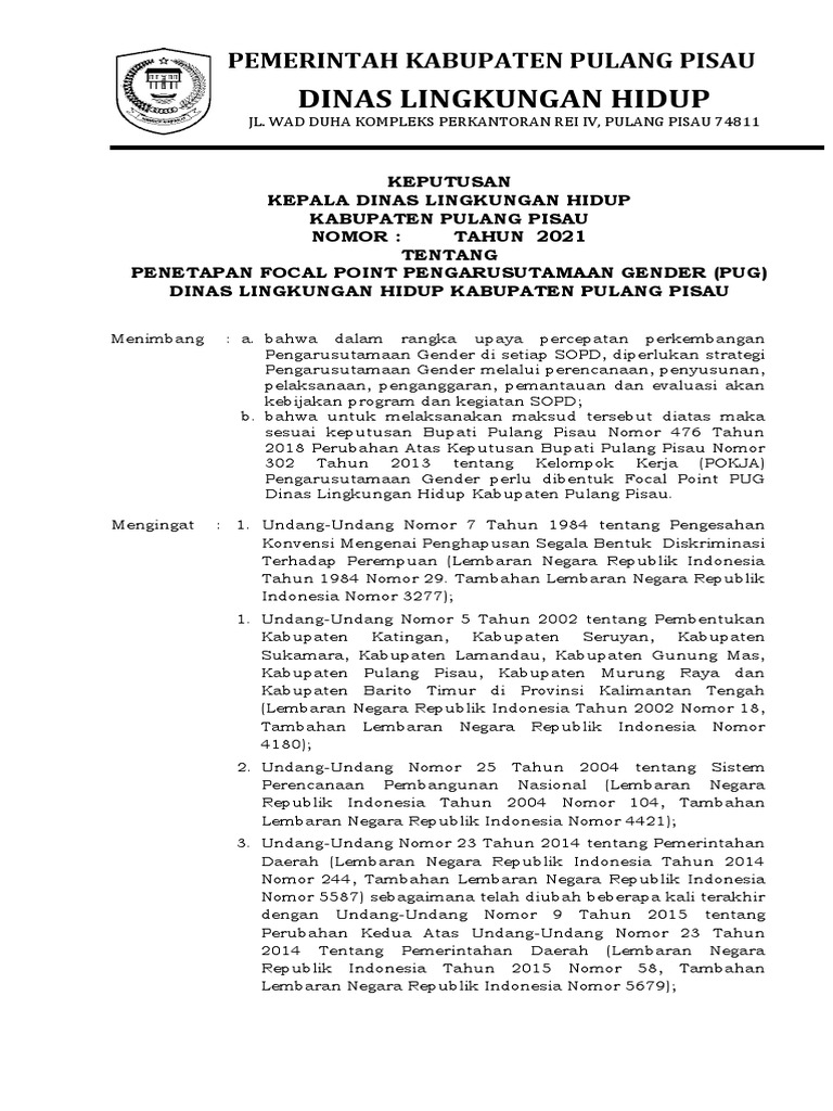 SK Focal Point | PDF