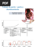 Fisiología del Alumbramiento y Placenta | PDF | Parto | Placenta