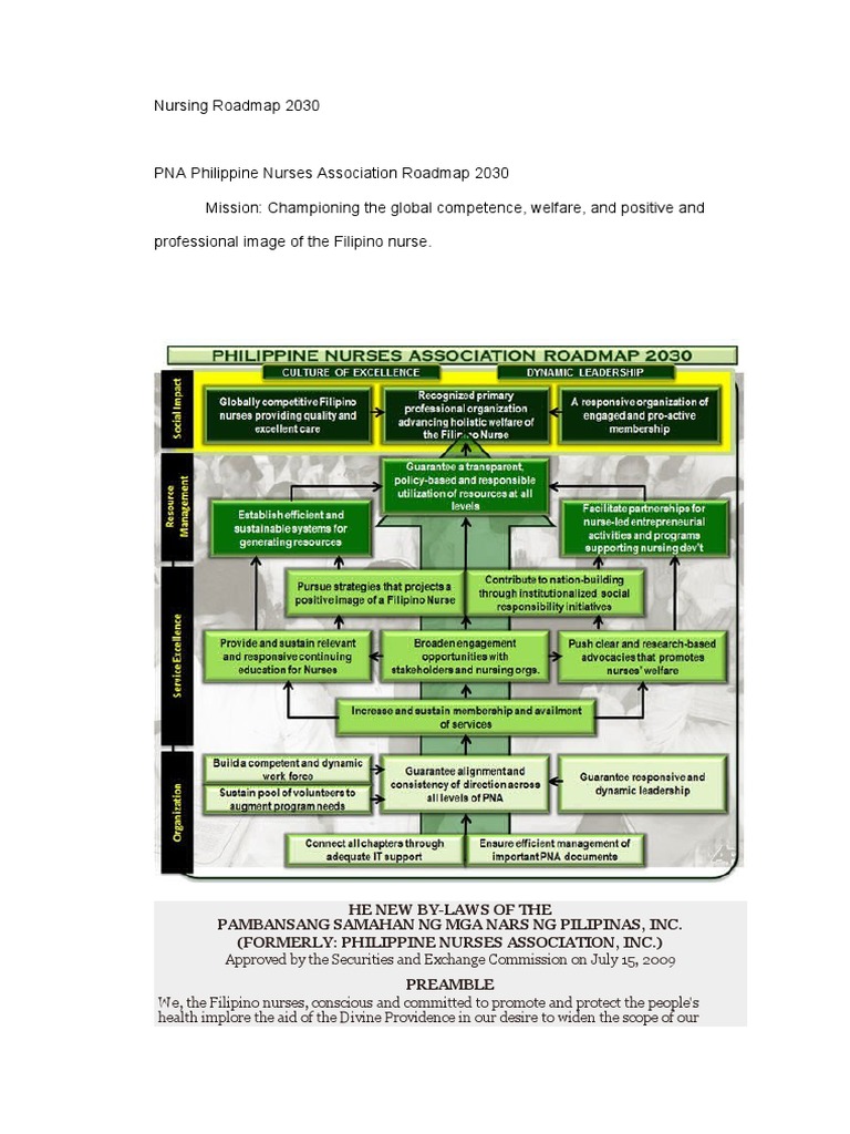 A Roadmap for Advancing Philippine Nursing: The Philippine Nurses Association's Strategic Plan ...