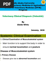 Swine Blood Collection Guide | PDF | Vein | Syringe