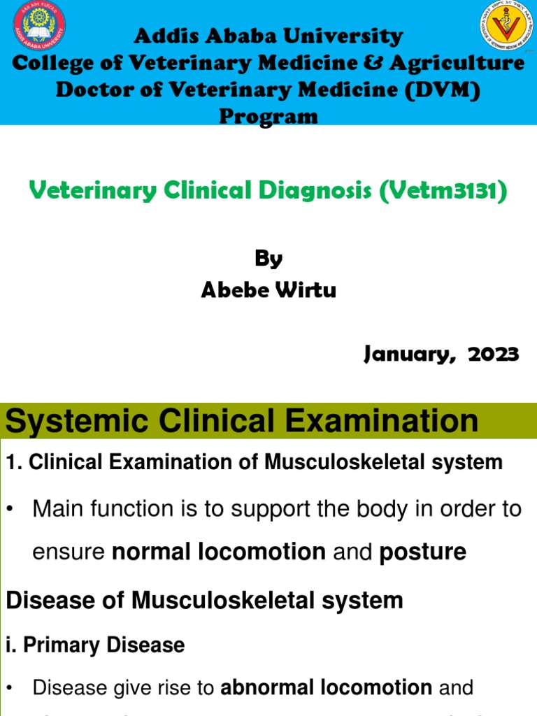 Veterinary Clinical Diagnosis DVM 2022-23 | PDF | Skin | Nervous System