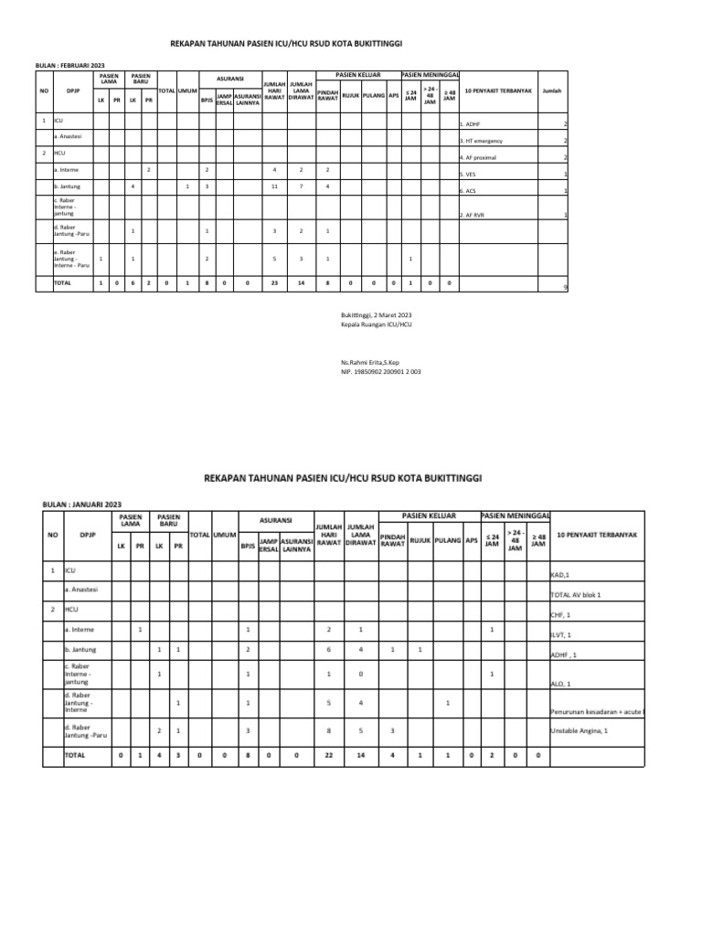 Form Laporan Bulanan Icu Hcu 2023 | PDF