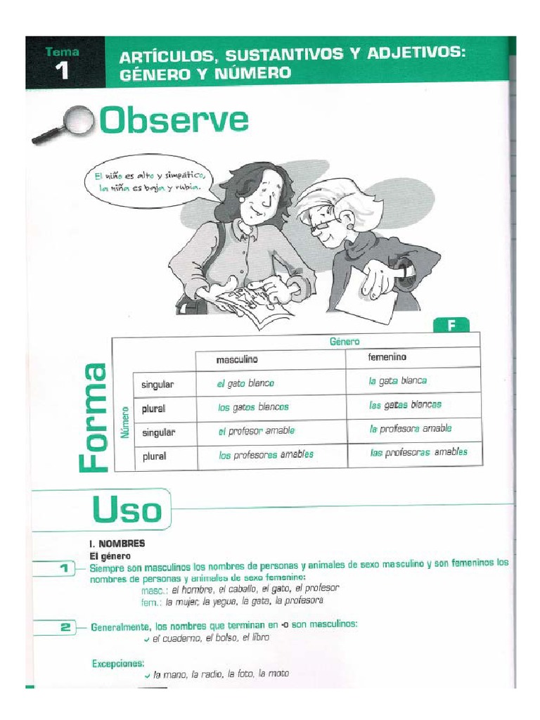 Artículos Sustantivos Adjetivos Género y Número | PDF
