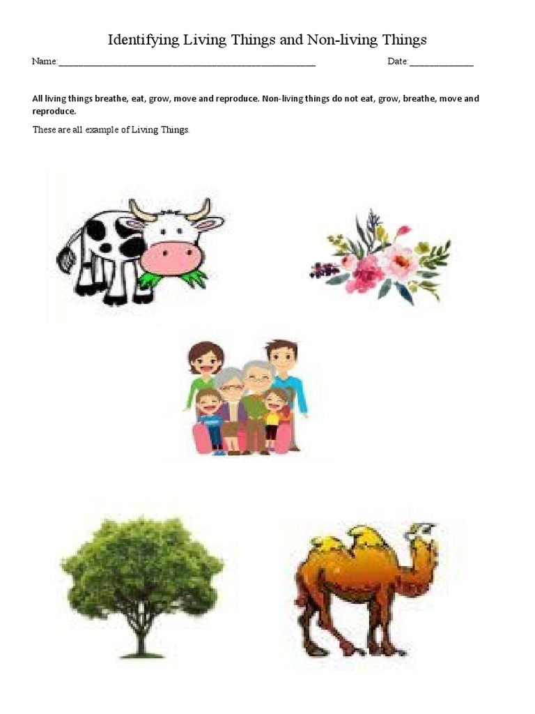 Identifying Living Things and Non | PDF
