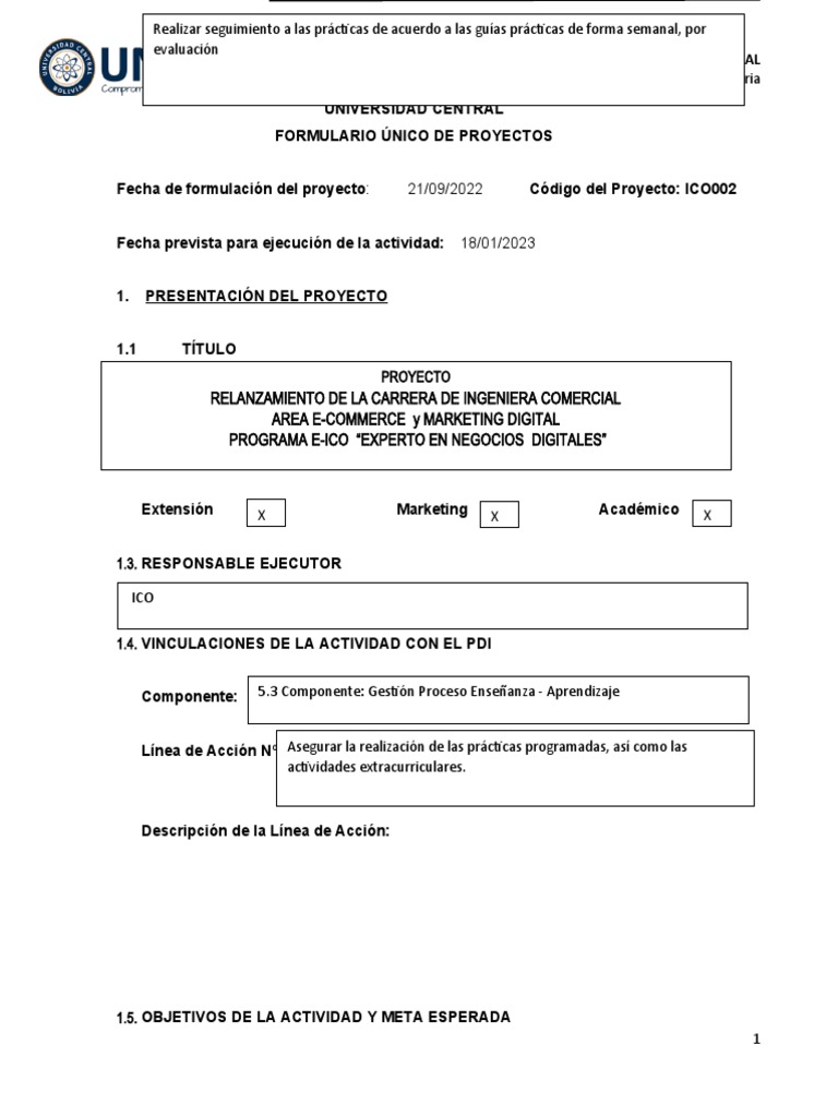 Proyecto E-Ico | PDF | Comercio electrónico | Marketing