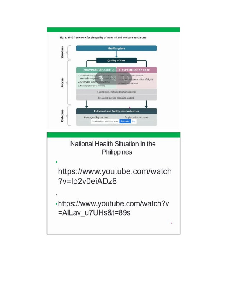 Day 1 MCN Lecture | PDF
