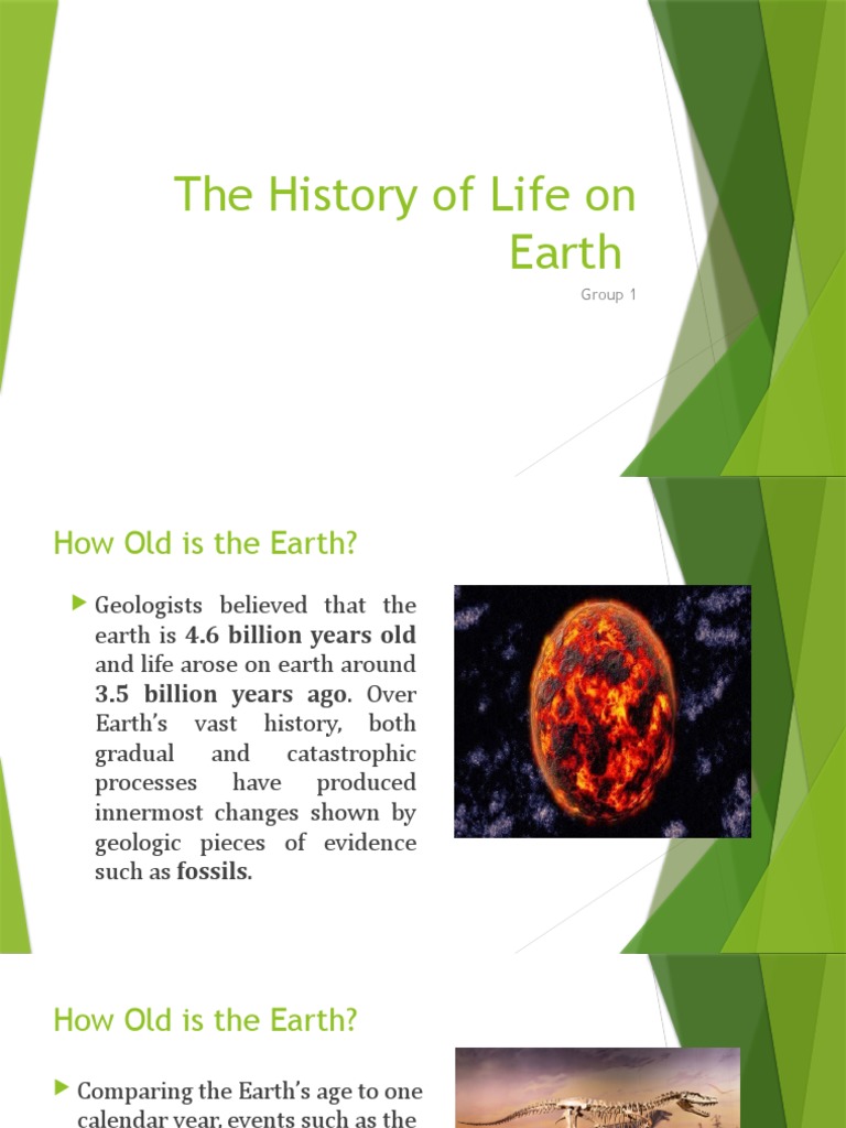 The History of Life On Earth G1 | PDF | Fossil | Radioactive Decay