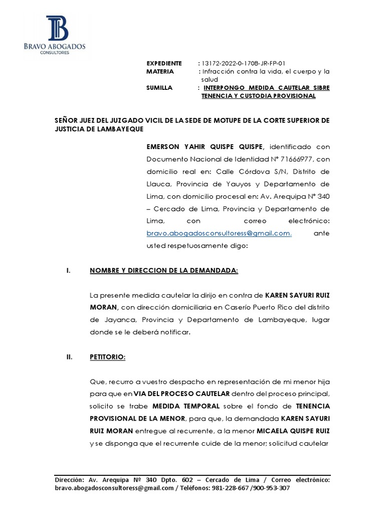 Mediad Cautelar - Emerson | PDF | Gobierno | Instituciones sociales