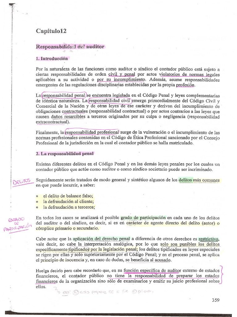 Capítulo 12. Lattuca - Responsabilidadel Auditor | PDF