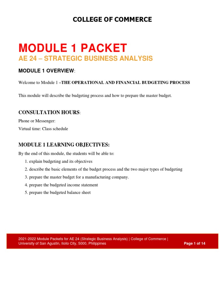 AE 24 Module 1 Budgeting | PDF | Inventory | Balance Sheet