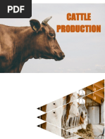 Animal Science Terms | PDF | Chicken | Cattle