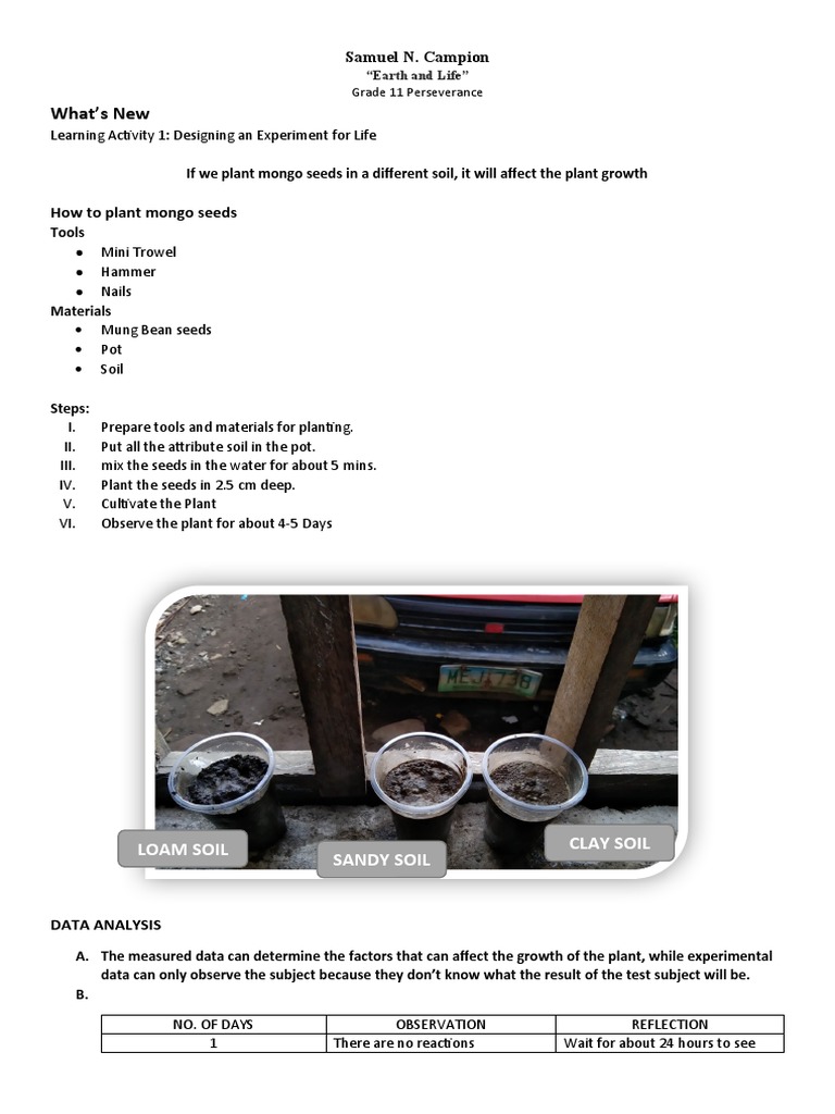 Research of Monggo Seeds | PDF | Seed | Horticulture