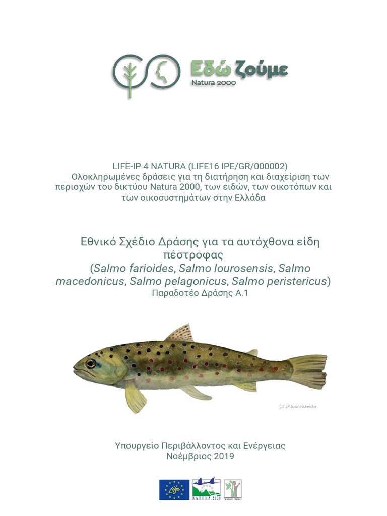 Salmo Species AP | PDF
