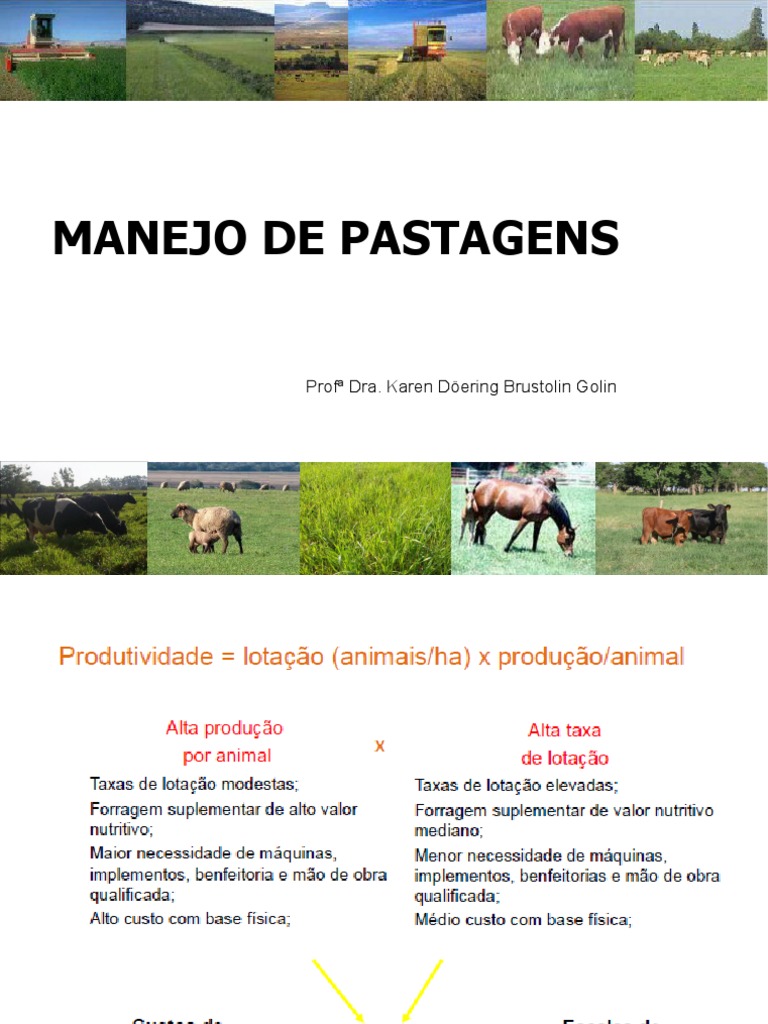 Manejo de Pastagens | PDF | Pasto | Gado