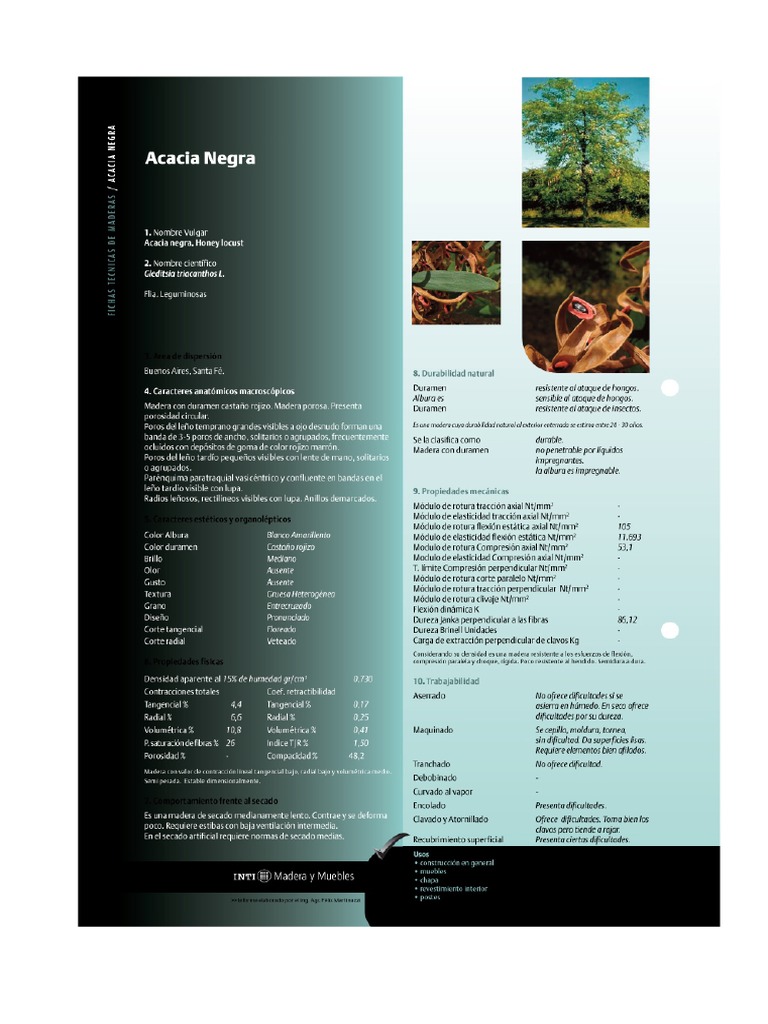 Acacia Negra | PDF