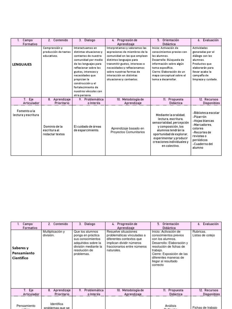 Programa Analitico Pdf Evaluación Aprendizaje