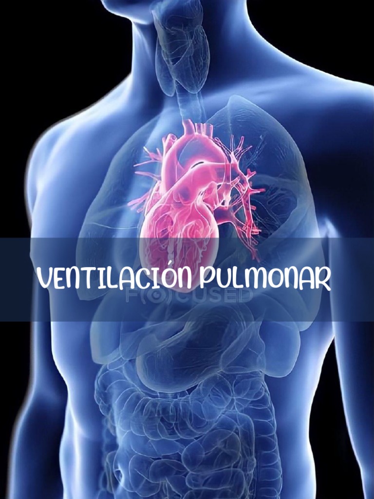Ventilación Pulmonar PDF | PDF | Pulmón | Sistema respiratorio