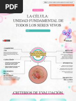 Allobates niputidea: Especie Única | PDF | Taxonomía (biología) | Género