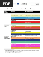 Movement - Gray Cook (Traducido) | PDF | Músculo esquelético | Rodilla