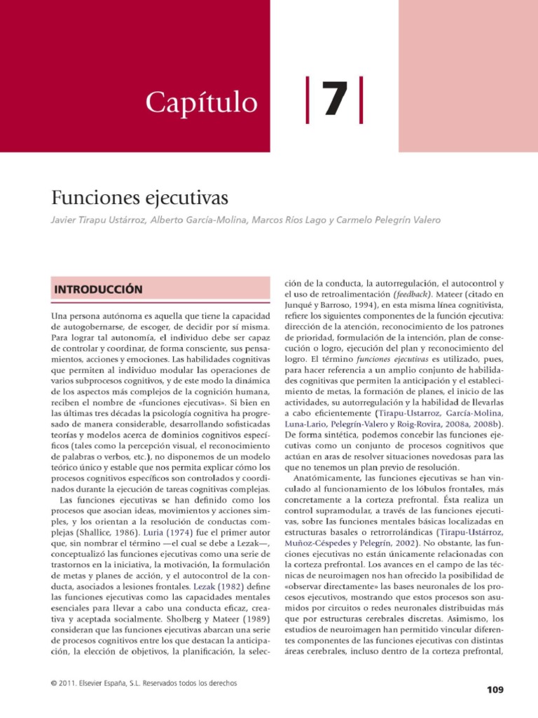 Funciones Ejecutivas - Tirapu Et Al - Cap17 PDF | PDF
