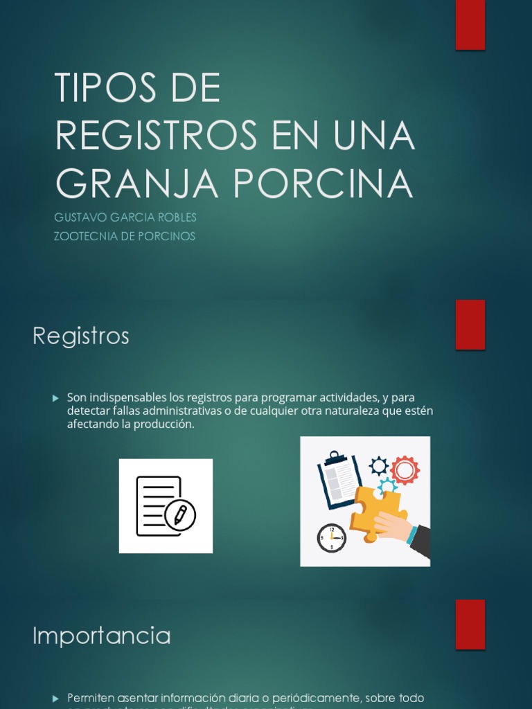 Tipos de Registros en Una Granja Porcina | PDF | Cerdo