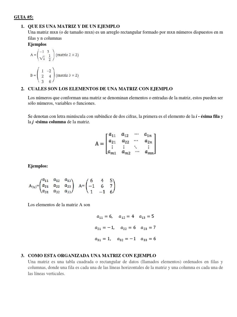 Guia 5 | PDF | Matriz (Matemáticas) | Álgebra